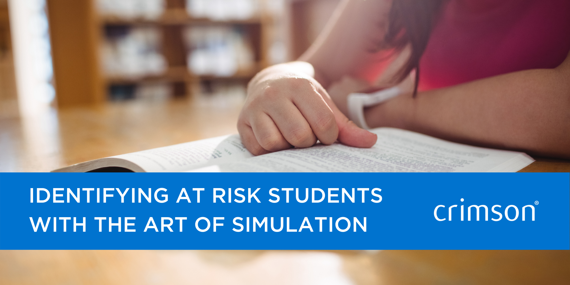 Identifying at risk students with the art of simulation